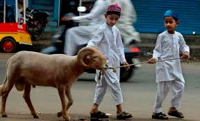 The Naqshbandi Haqqani Sufi Order of America: Sufism and Spirituality